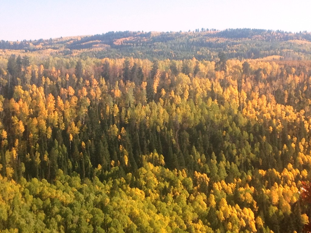 Fall Colors and Hikes in the Flagstaff, AZ Area | Flagstaff Places